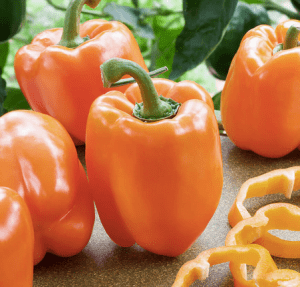 Sweet Pepper “California Miracle Orange” seeds – Shop by Greenic Exotics