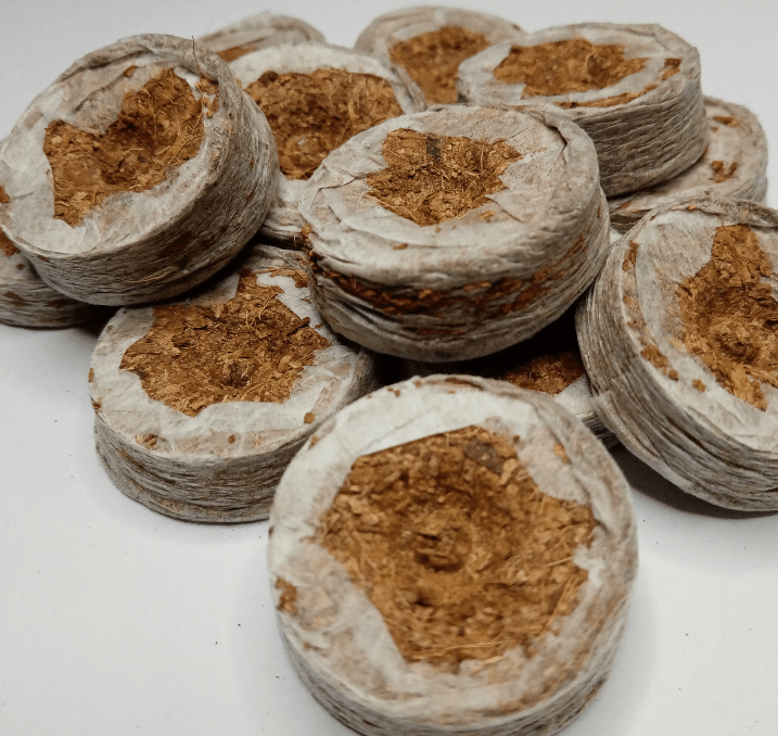 Coco Coir Pallet (32 mm) – Shop by Greenic Exotics