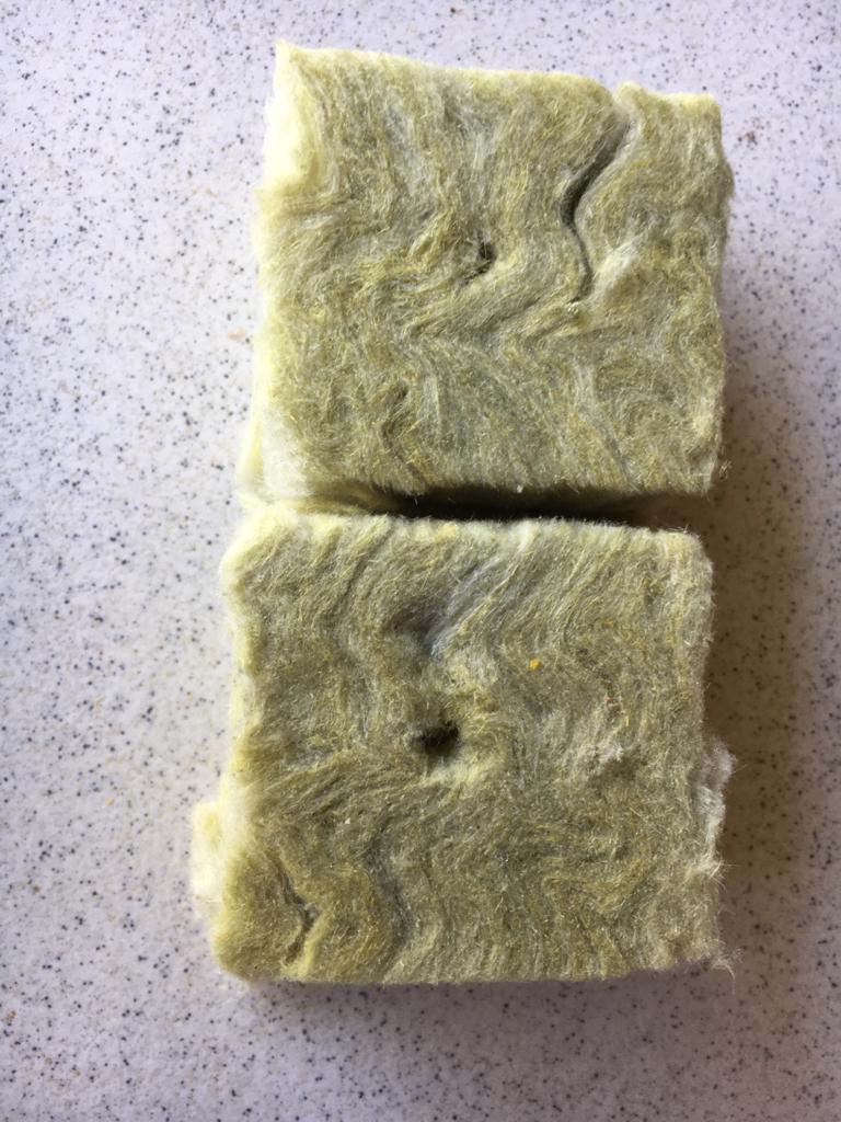 Rock Wool – Shop by Greenic Exotics